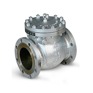 Válvula Check horizontal - Ferricom